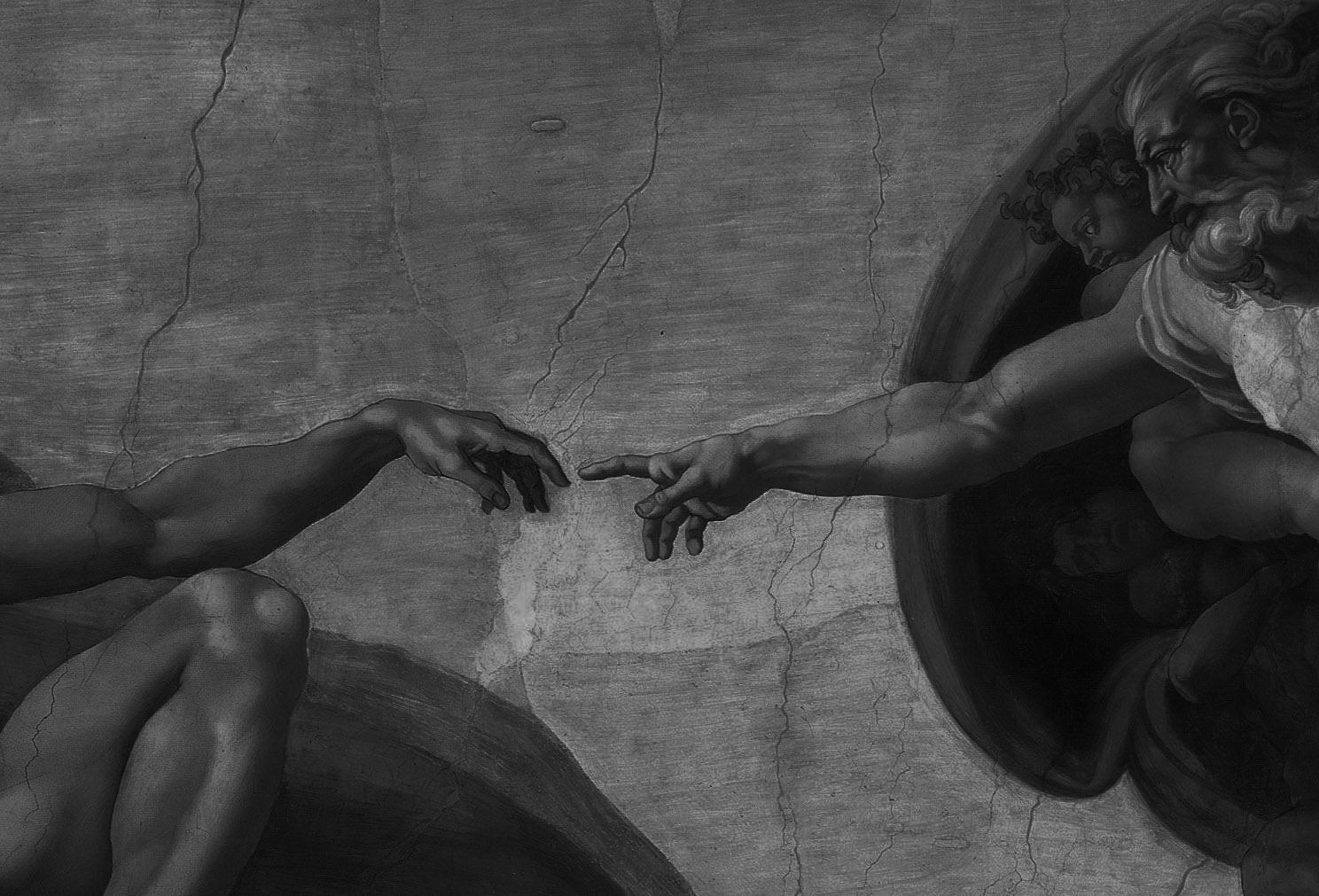 STRUMBERGER® | Arhitect Timișoara